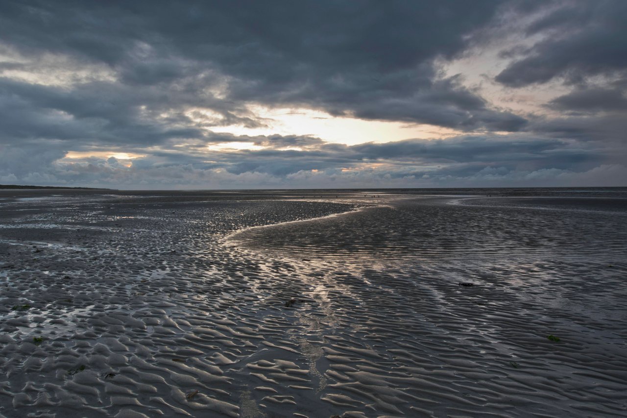 Urlaub an der Nordsee: Inselbewohner schlagen jetzt Alarm – „Sind am ... Urlaub an der Nordsee: Inselbewohner schlagen jetzt Alarm – „Sind am ...